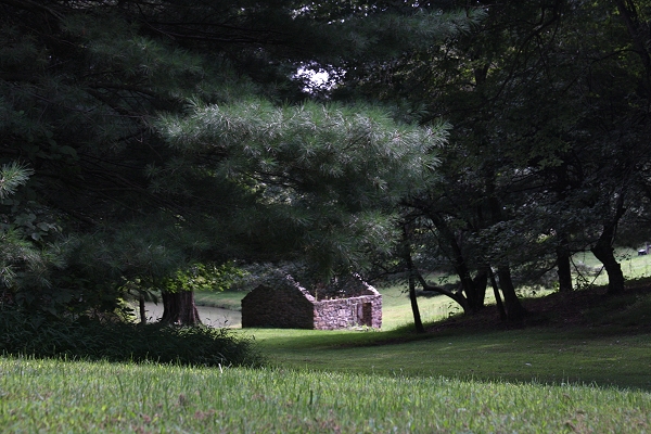 Spring Dell Farm In New Jersey
