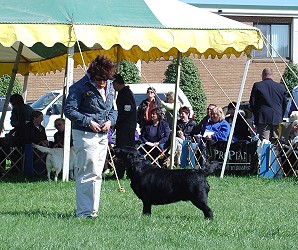 LRC Potomac 30th Anniversary