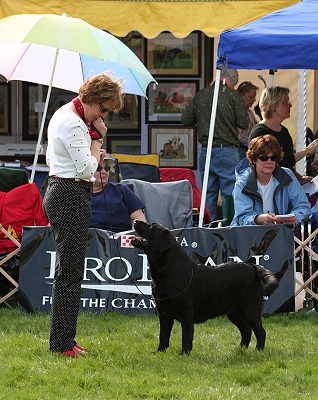 LRC Potomac 2006 Specialty