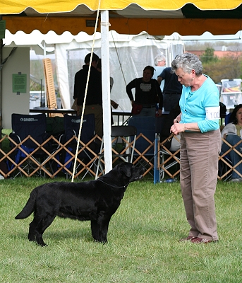 LRC Potomac 2006 Specialty