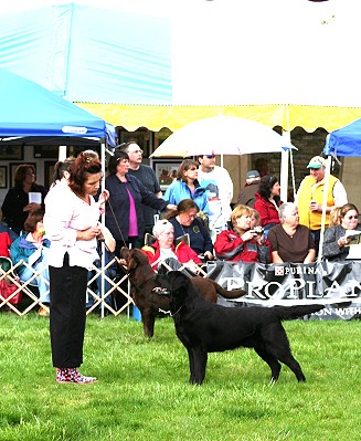 LRC Potomac 2006 Specialty